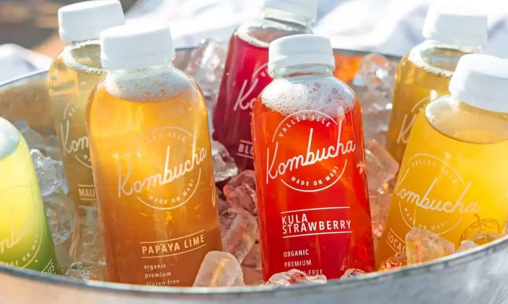 Le kombucha : La nouvelle boisson tendance et bonne pour la santé